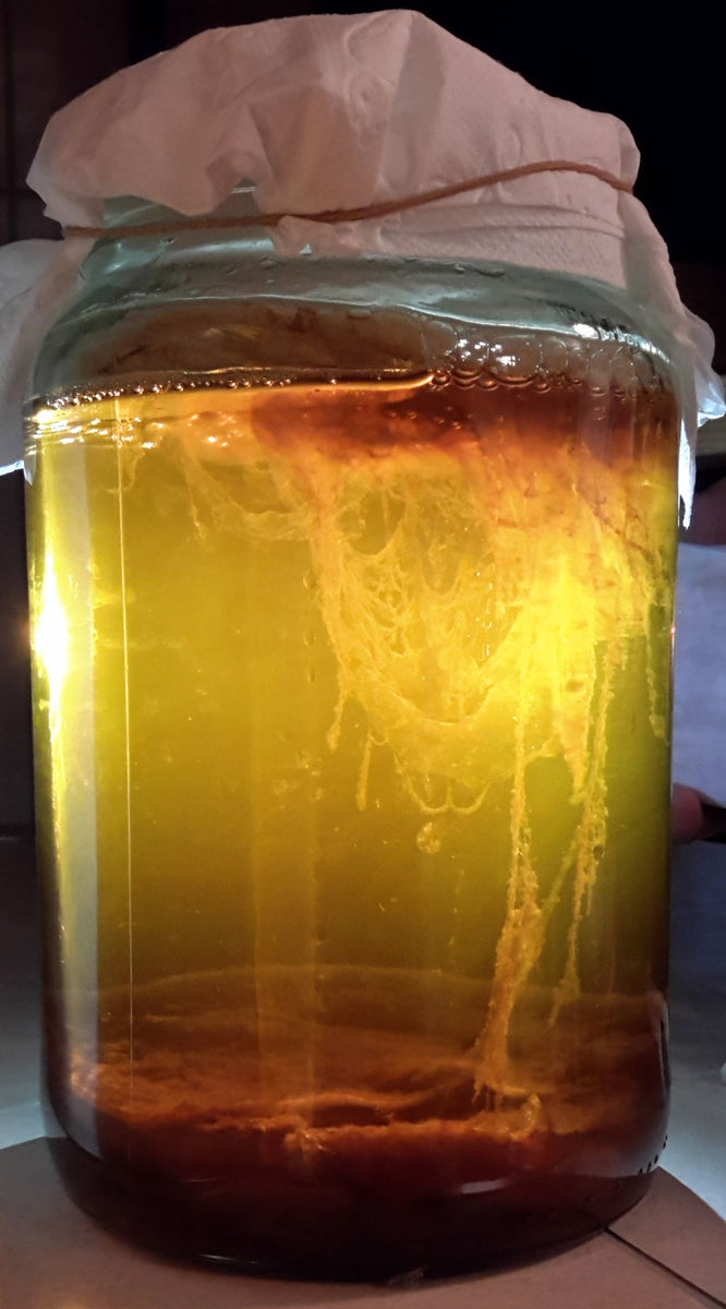 Flavoring Kombucha Naturally: Herbal Infusions for a Health Boost ...